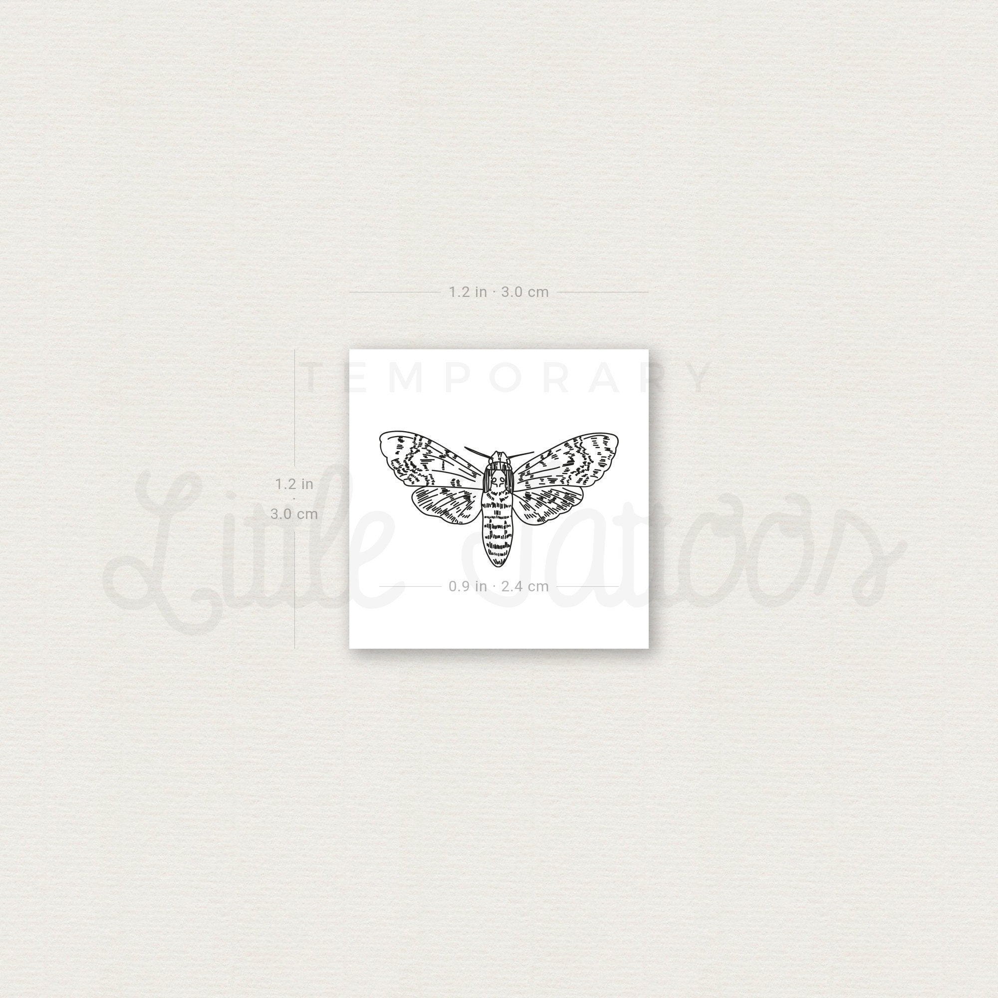 Small Moth Temporary Tattoo set of 3 - Etsy