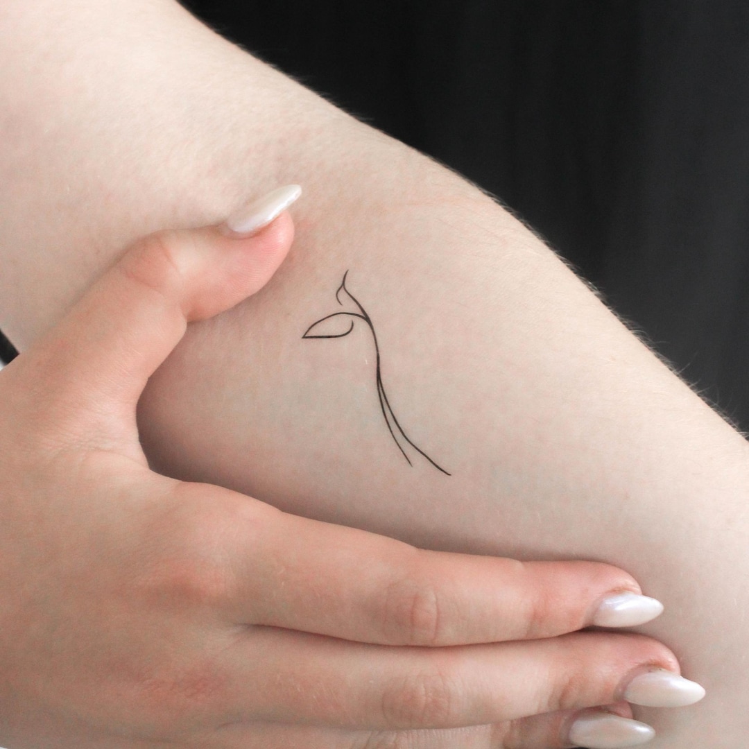 Minimalist Long Tailed Sylph Hummingbird Temporary Tattoo (set of 3) - Etsy