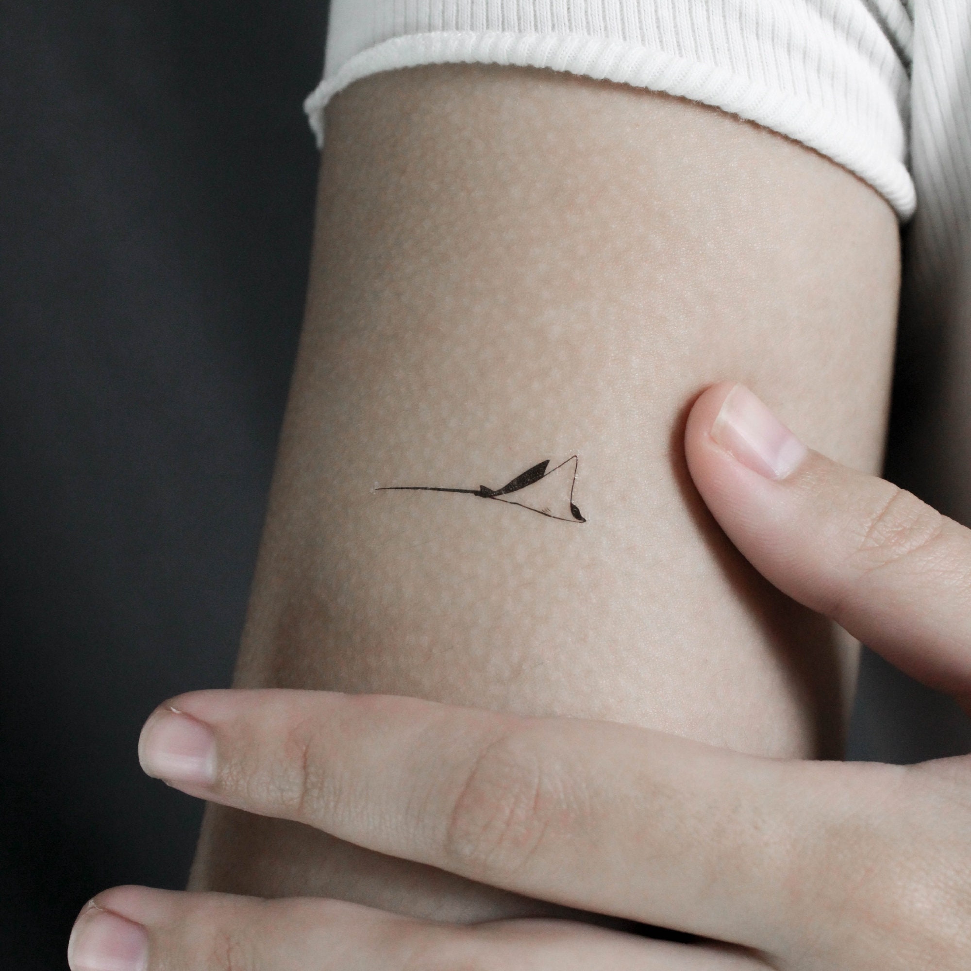 Ray Manta Tattoos