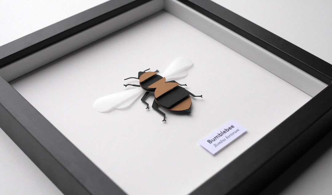 Bumble Bee Paper Model, Framed Bee, Vegan Taxidermy, Entomology, Paper ...
