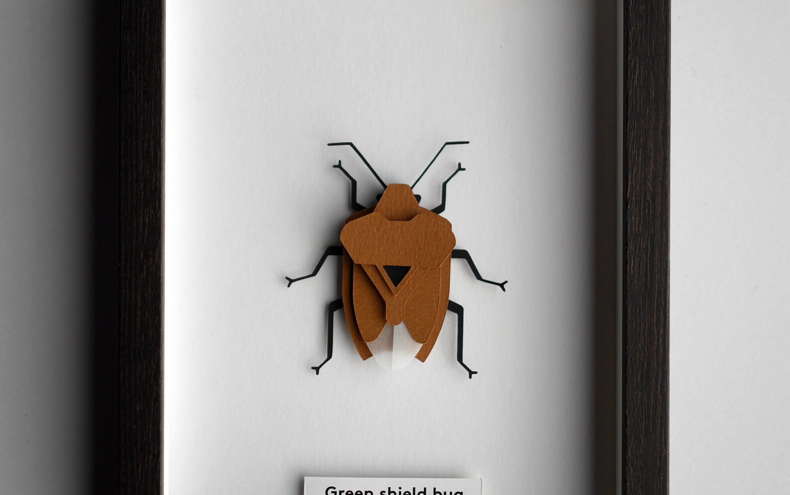 Papercut Shield Bug Entomology Paper Sculpture Stink Bug - Etsy