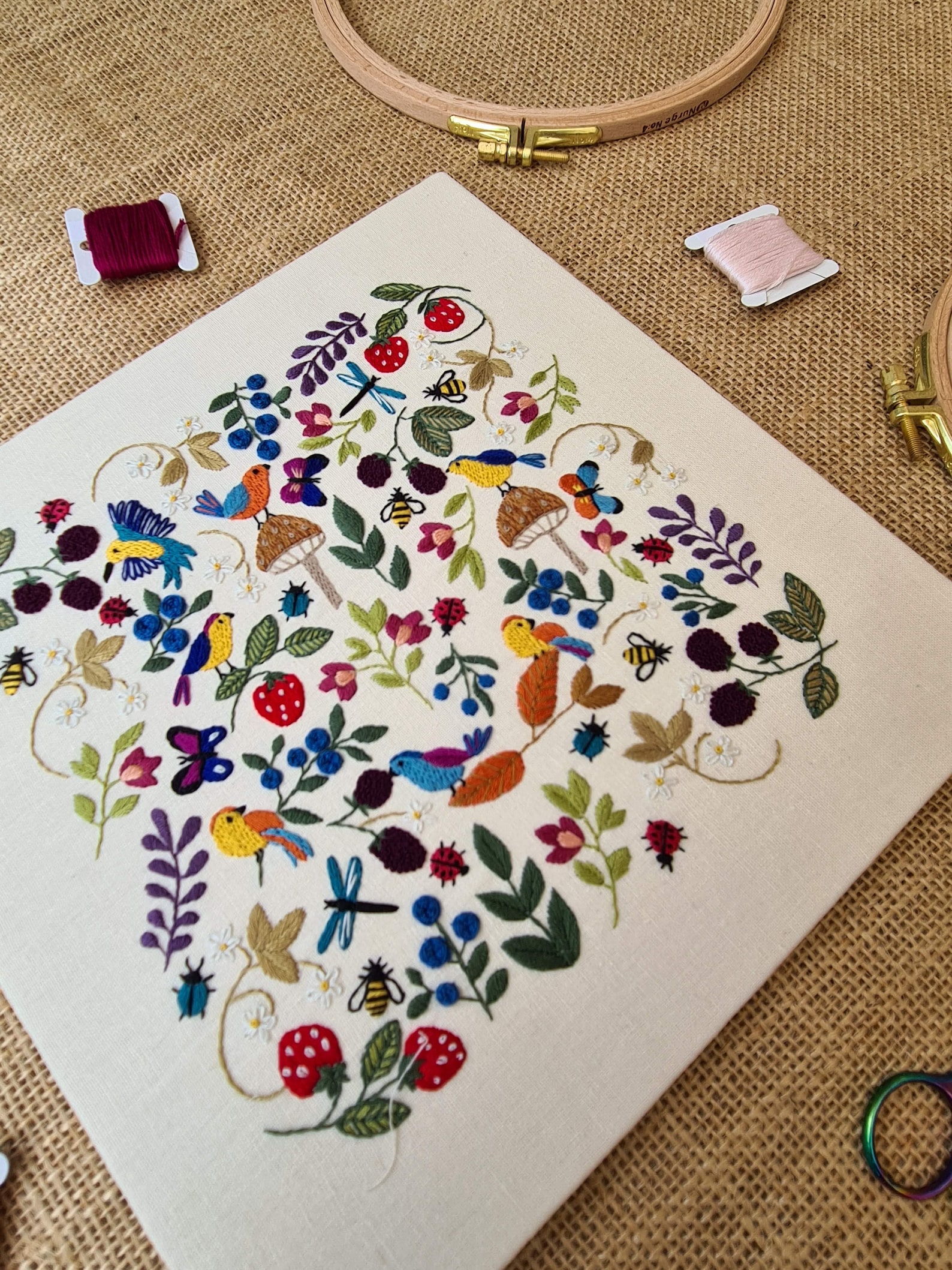 Birds, Bugs and Berries Hand Embroidery Kit, Pre Printed Embroidery ...