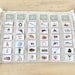 CH SH TH Digraph Sorting Set - Etsy