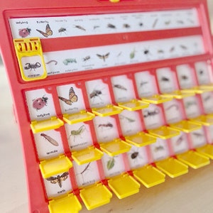 Bugs & Insects Guessing Game Printable Insert Card - Etsy