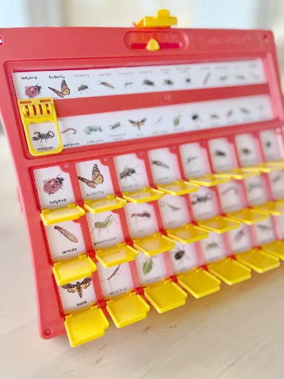Bugs & Insects Guessing Game Printable Insert Card - Etsy