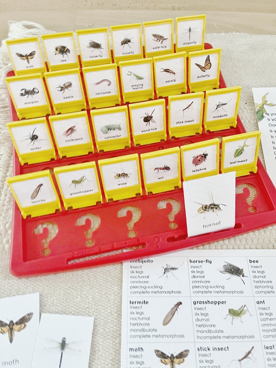 Bugs/ Insects Printable Guessing Game Insert Card Set - Etsy