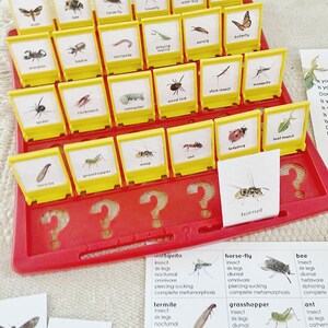 Bugs/ Insects Printable Guessing Game Insert Card Set - Etsy