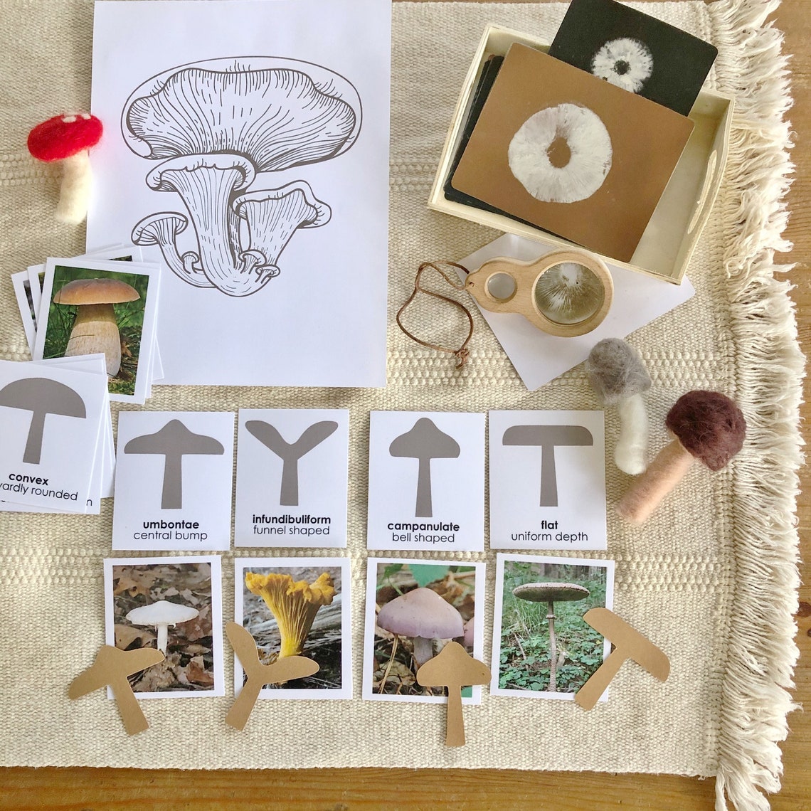 Mushroom Top Identification Cards With Matching - Etsy