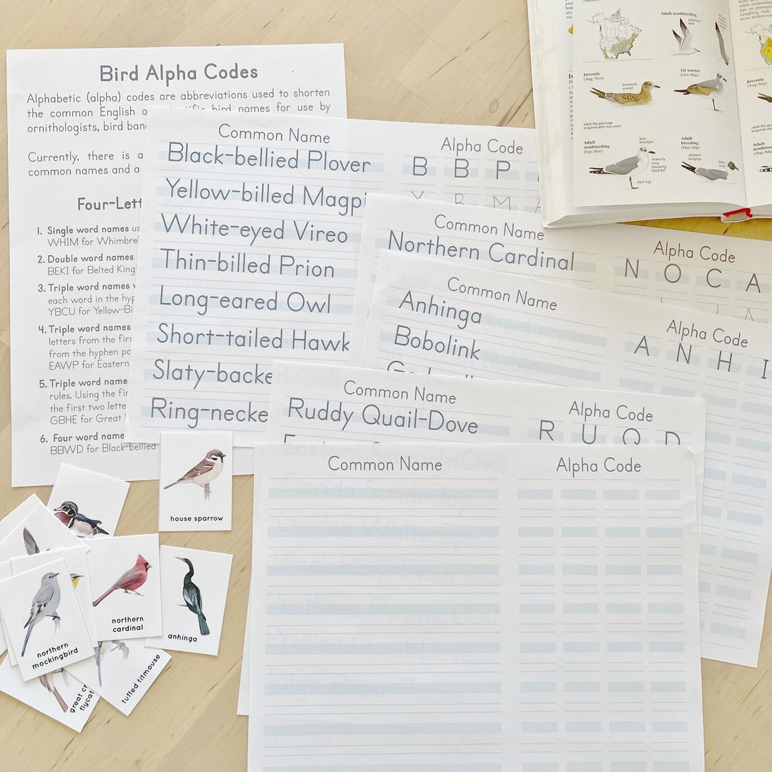 Alpha Birding Codes and Maps Set - Etsy
