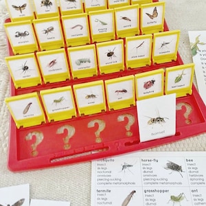 Guesssing Game Insert Cards Bundle OCEAN INSECTS BIRDS - Etsy