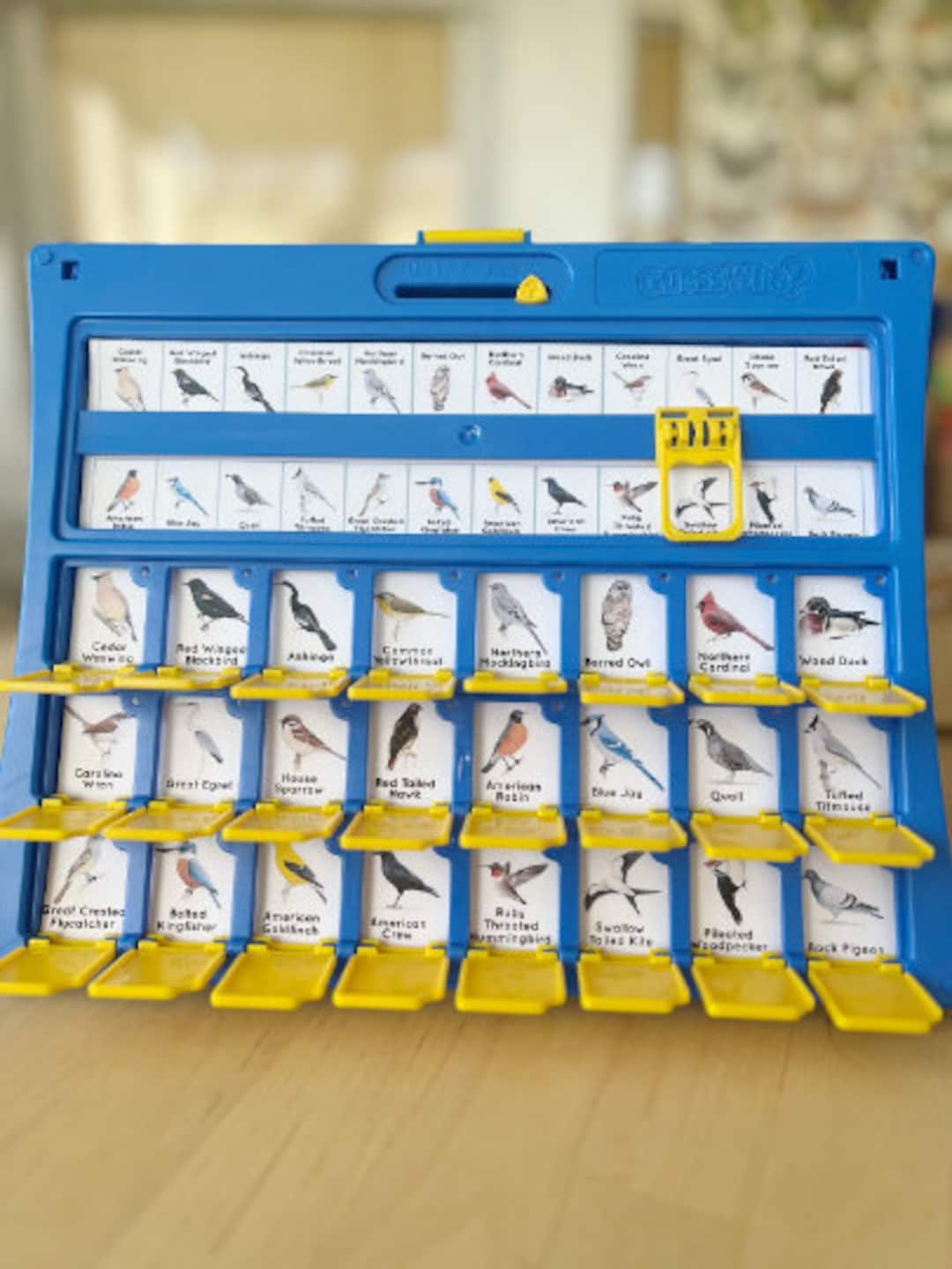 North American Birds Guessing Game Printable Insert Card - Etsy