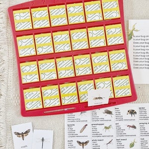 Guesssing Game Insert Cards Bundle OCEAN INSECTS BIRDS - Etsy