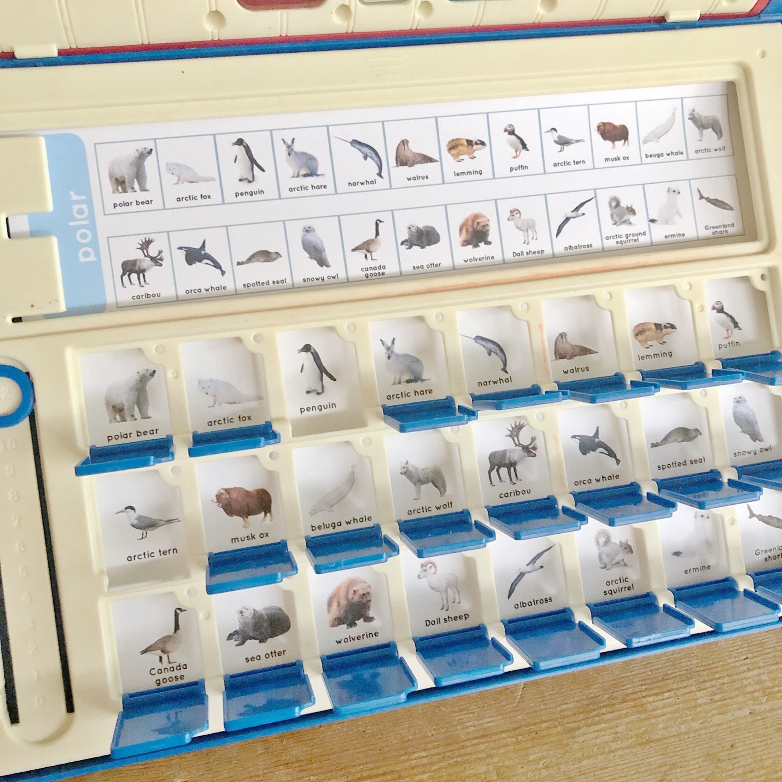 Electronic Guessing Game Printable Insert Cards Bundle - Etsy