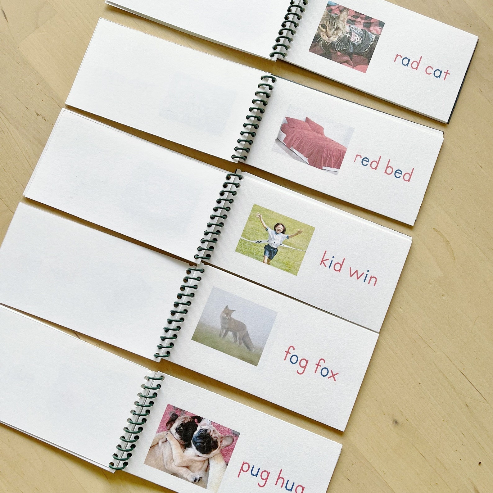 Two CVC Word Rhyming Booklets - Etsy