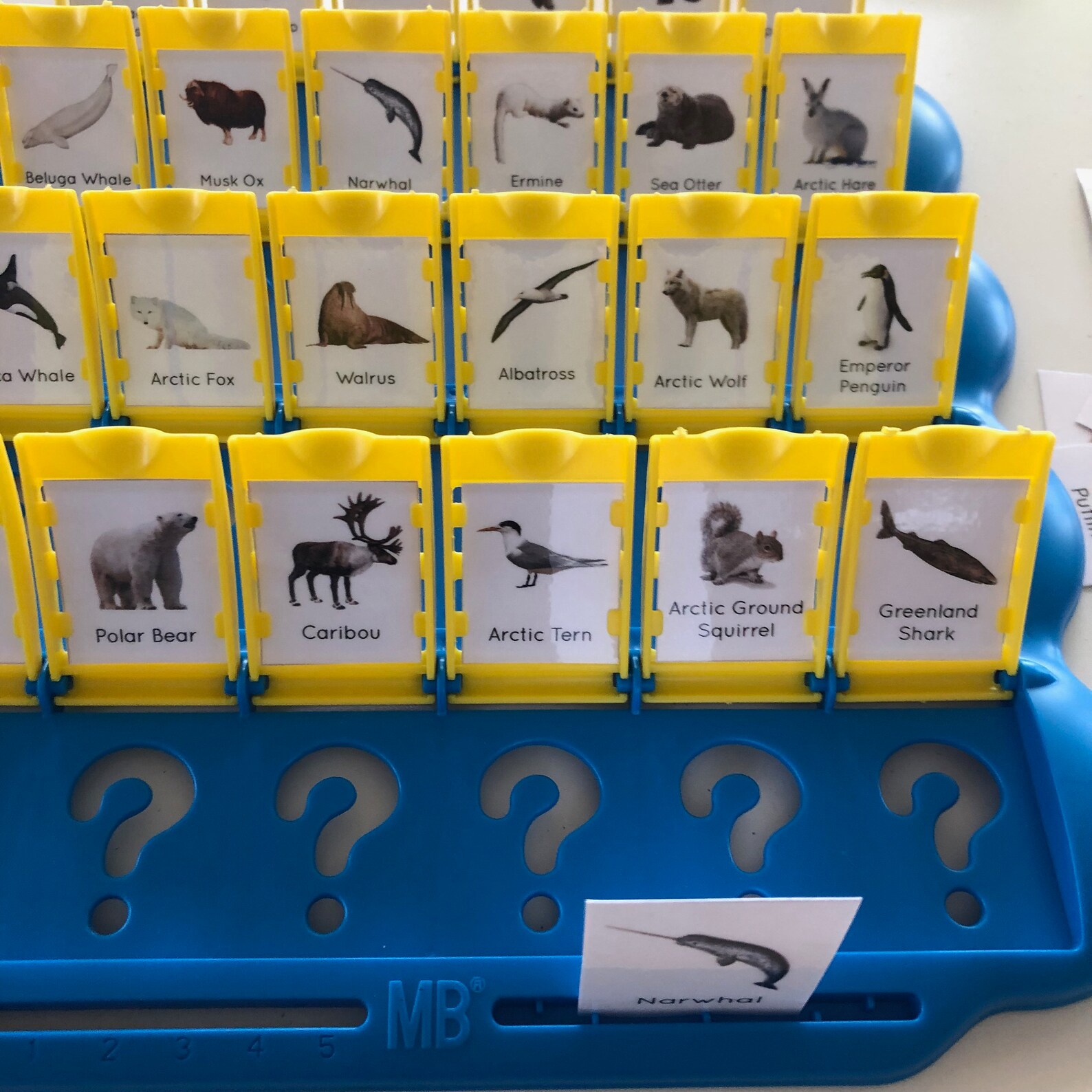 Guess Who Polar Life Insert Cards | Etsy