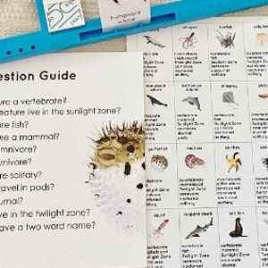 Ocean Life Guess Game Printable Insert Card - Etsy