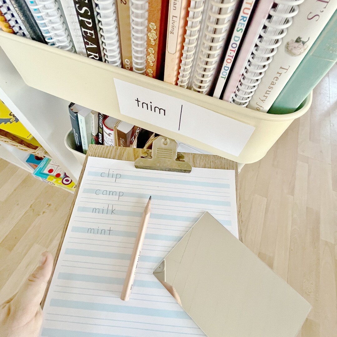 CVC CVCC CCVC Reflected Word Set - Etsy