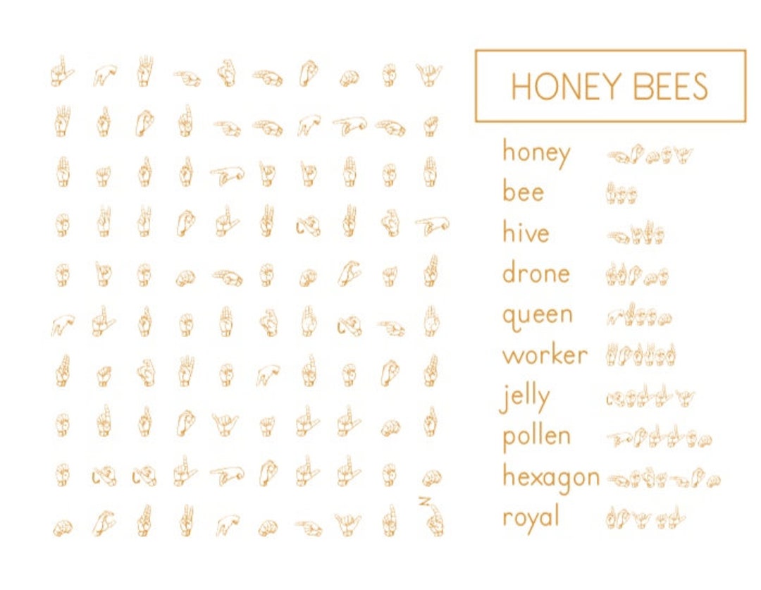 Printable ASL Fingerspell Word Search Set - Etsy