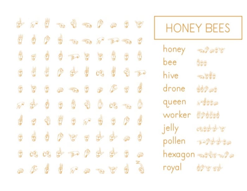 Printable ASL Fingerspell Word Search Set | Etsy