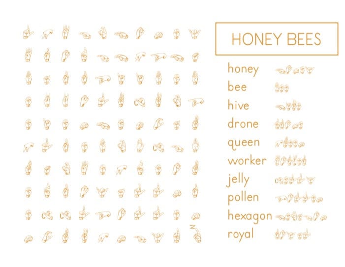 Printable ASL Fingerspell Word Search Set | Etsy