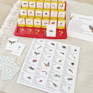 Bugs/ Insects Printable Guessing Game Insert Card Set - Etsy