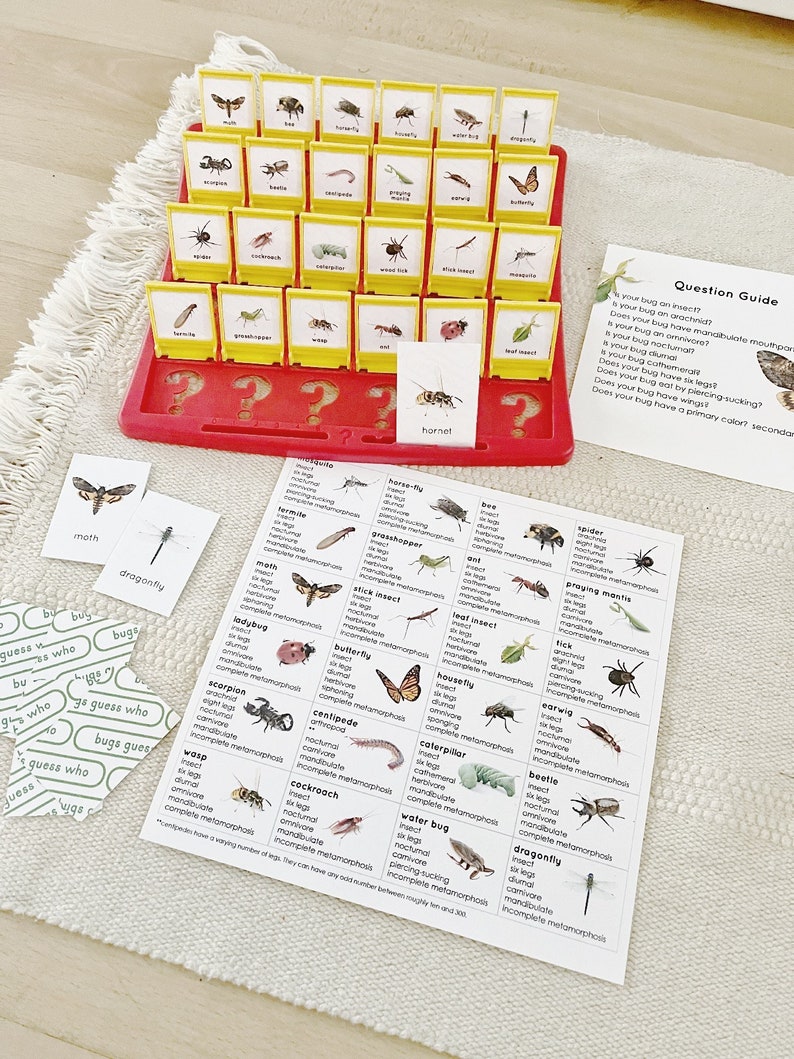 Bugs/ Insects Printable Guessing Game Insert Card Set - Etsy