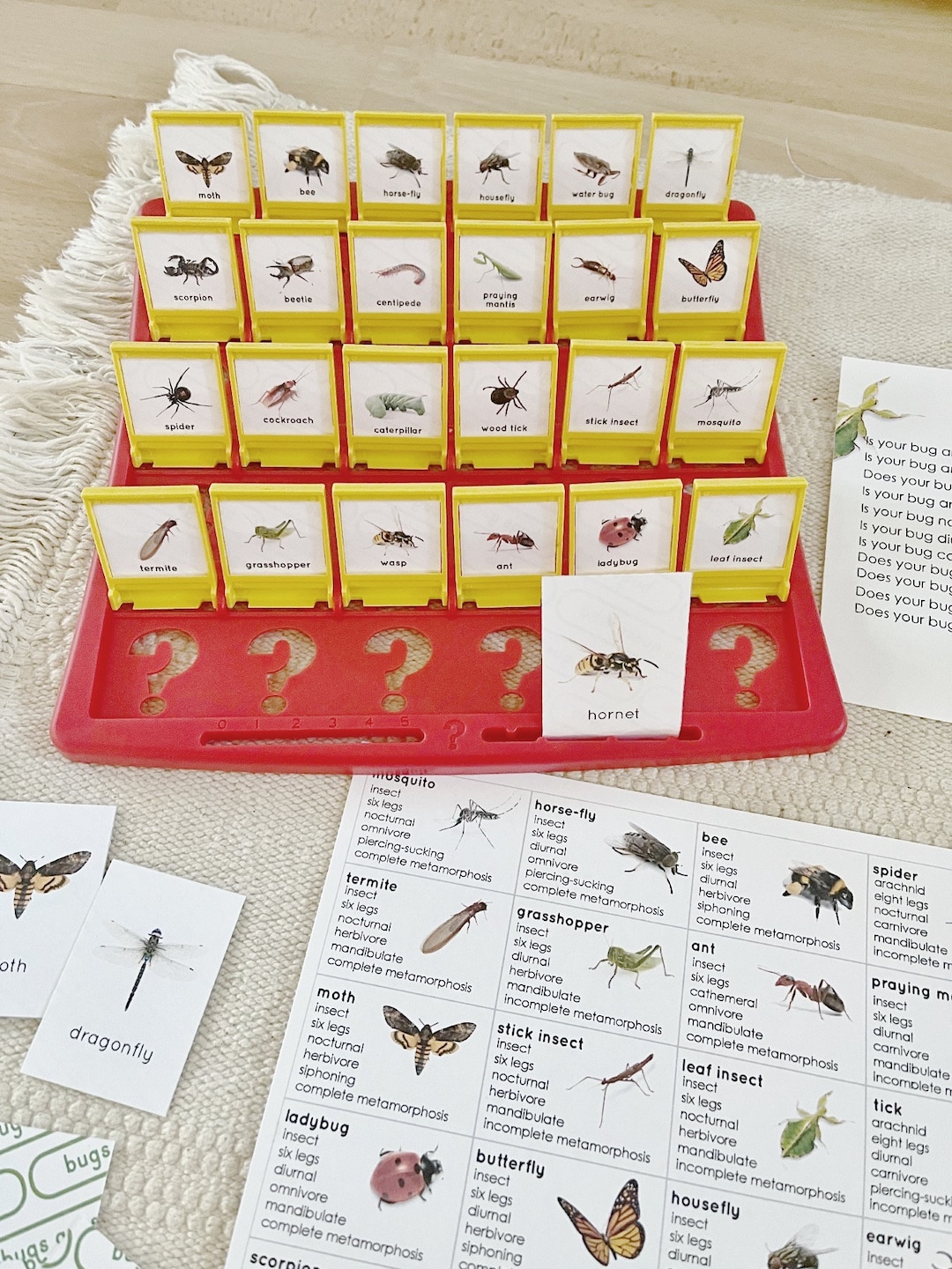 Bugs/ Insects Printable Guessing Game Insert Card Set - Etsy
