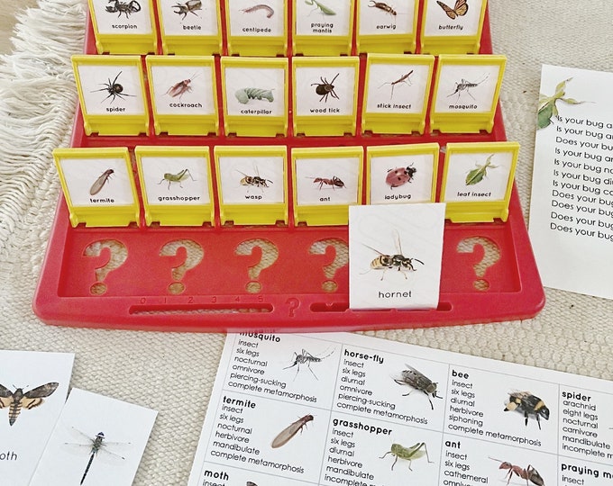 Bugs/ Insects Printable Guessing Game Insert Card Set - Etsy
