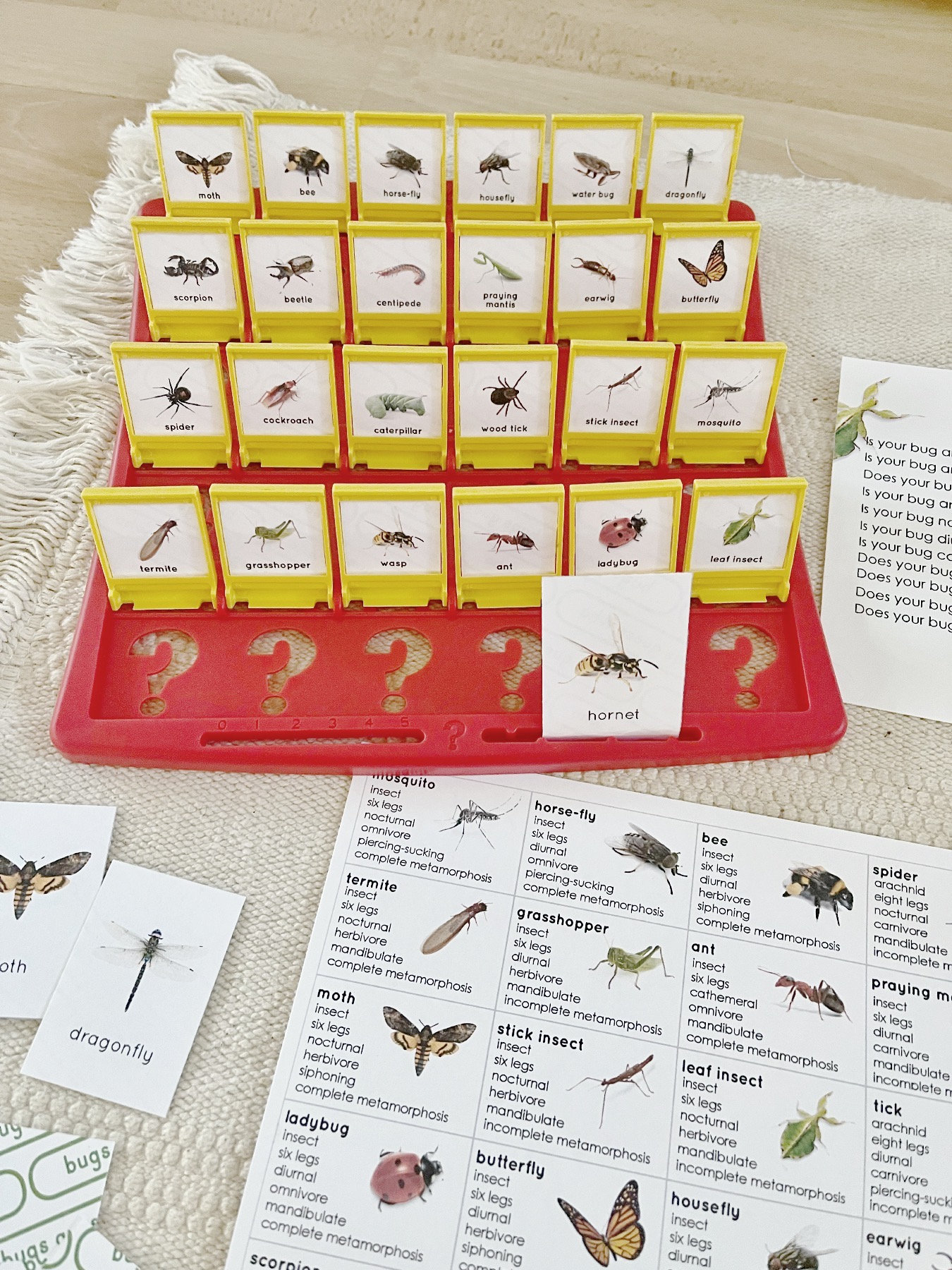 Bugs/ Insects Printable Guessing Game Insert Card Set - Etsy