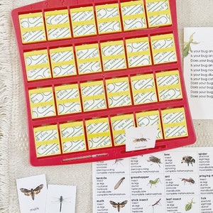 Bugs/ Insects Printable Guessing Game Insert Card Set - Etsy