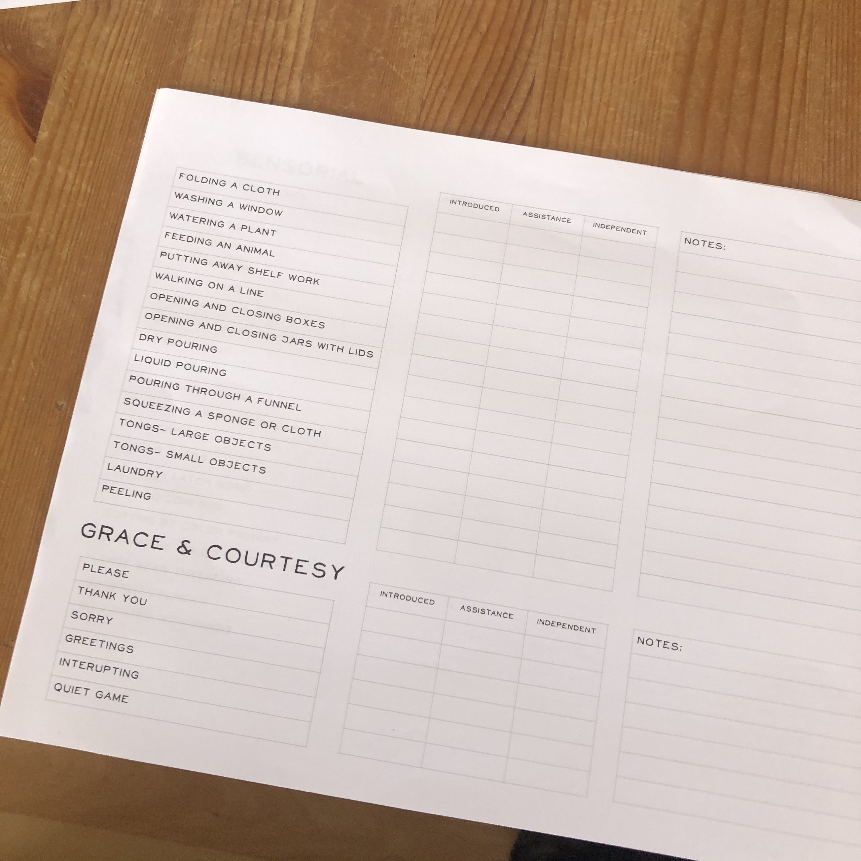 Montessori Birth to Three Years Observation Tracking Sheets | Etsy