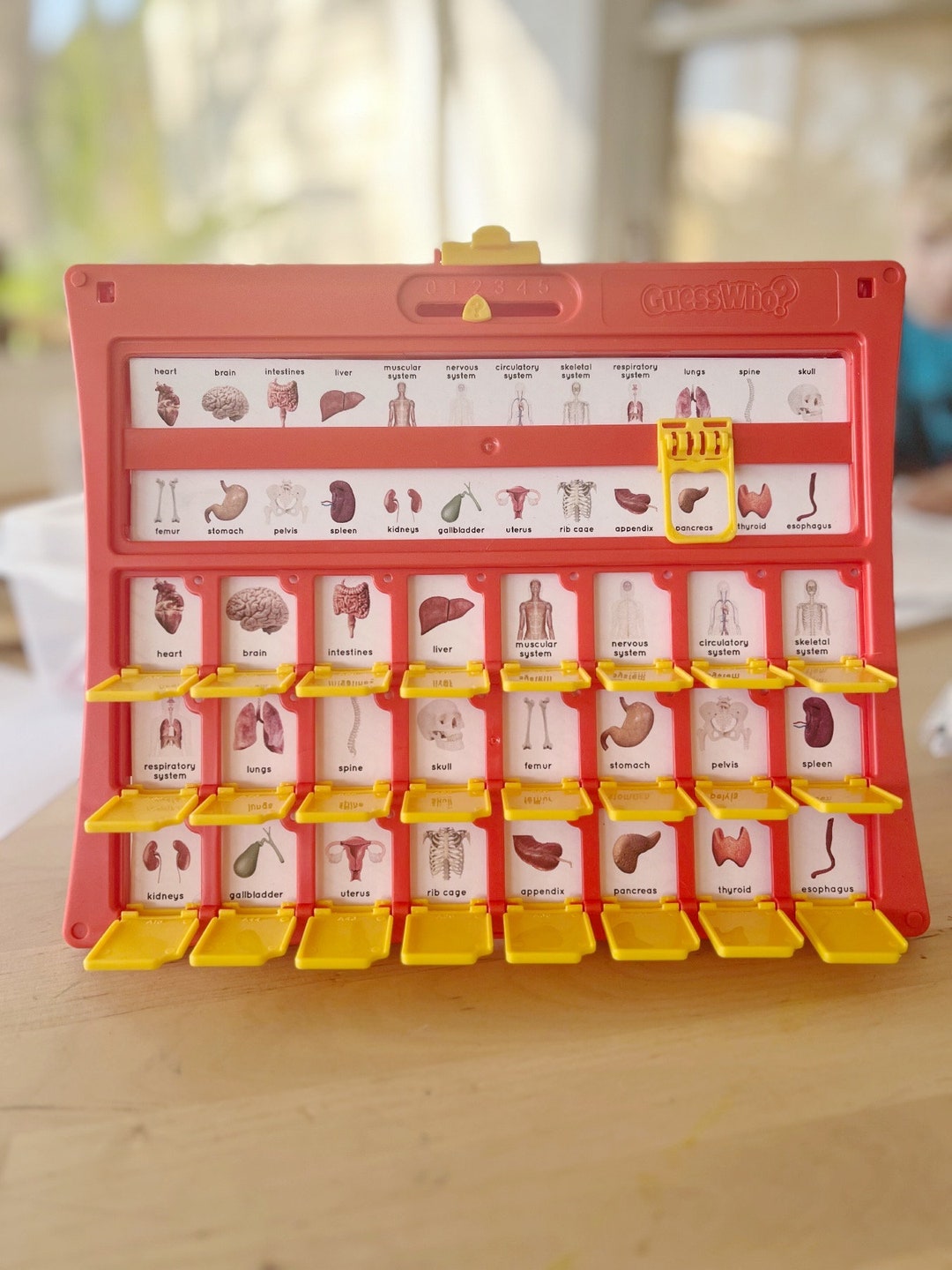 Anatomy Guessing Game Printable Insert Card - Etsy