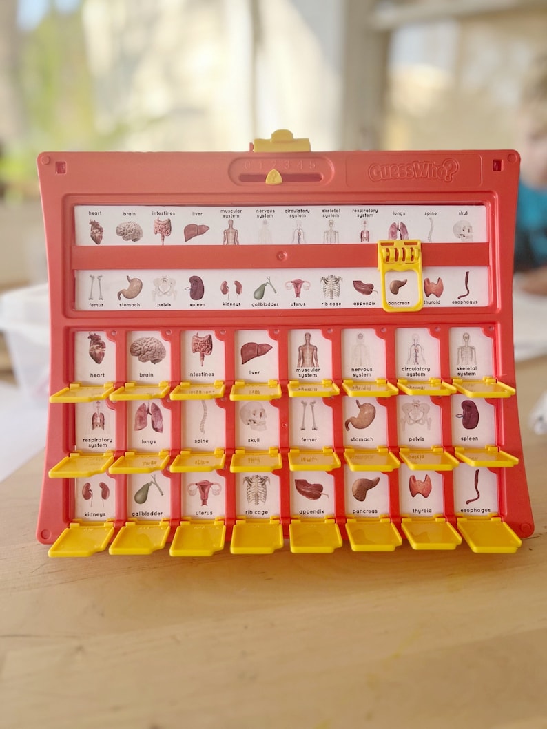 Anatomy Guessing Game Printable Insert Card - Etsy