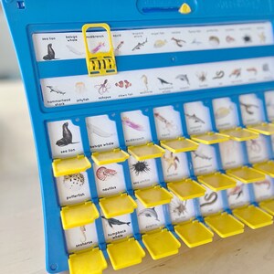 Ocean Life Guess Game Printable Insert Card - Etsy