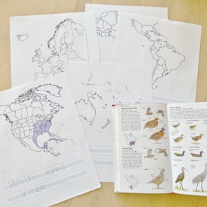 Alpha Birding Codes and Maps Set - Etsy