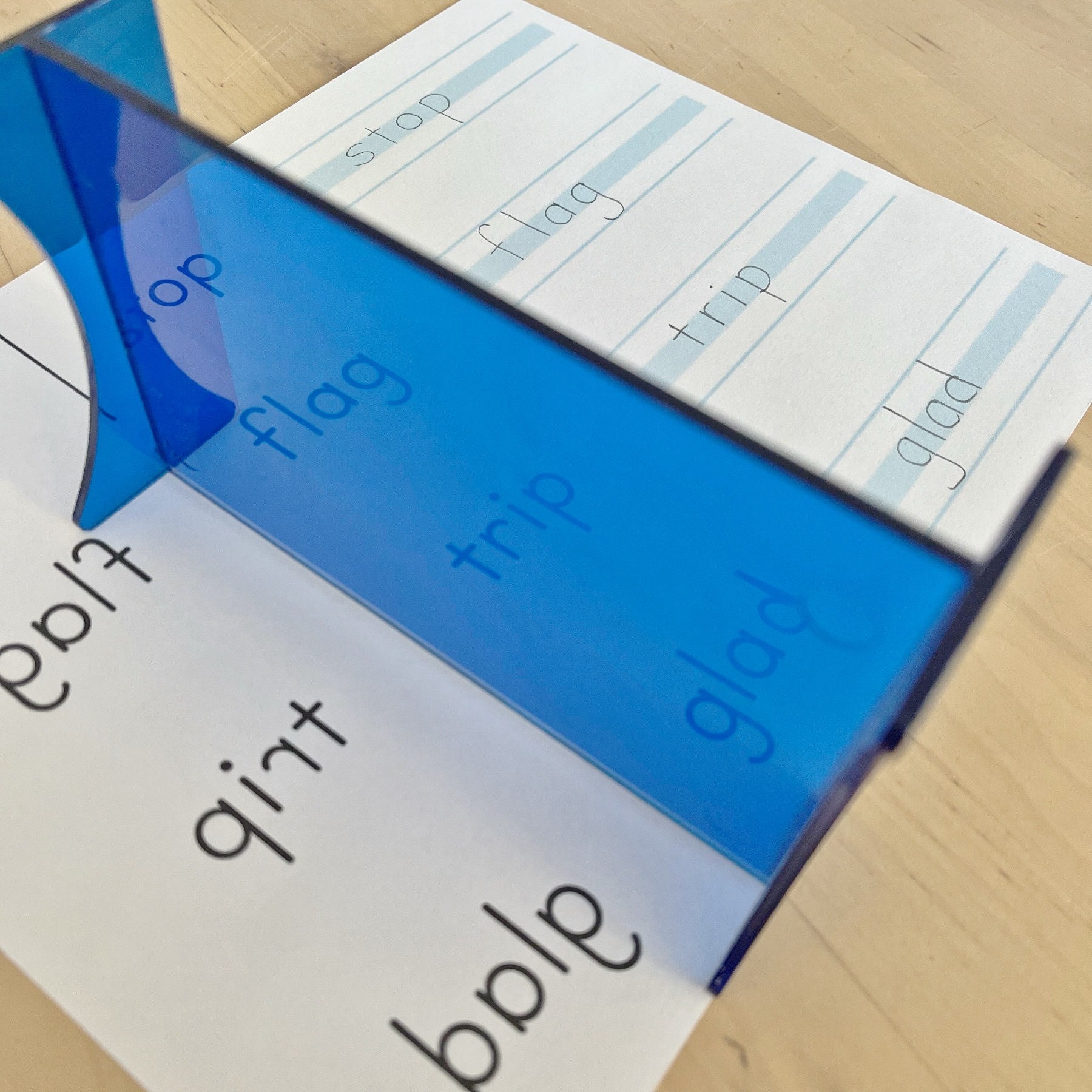 CVC CVCC CCVC Reflected Word Set - Etsy