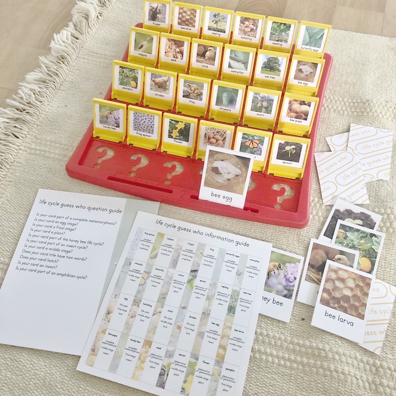 Life Cycle Printable Guess Who Insert Cards - Etsy