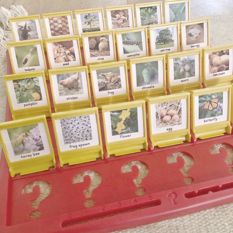 Life Cycle Printable Guess Who Insert Cards - Etsy