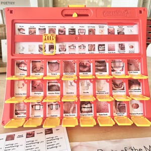Anatomy of the Mouth Guessing Game Printable Insert Card - Etsy