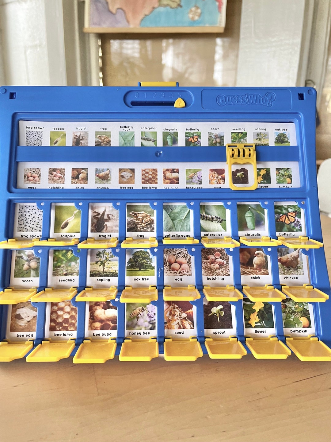 Life Cycle Guessing Game Printable Insert Card - Etsy