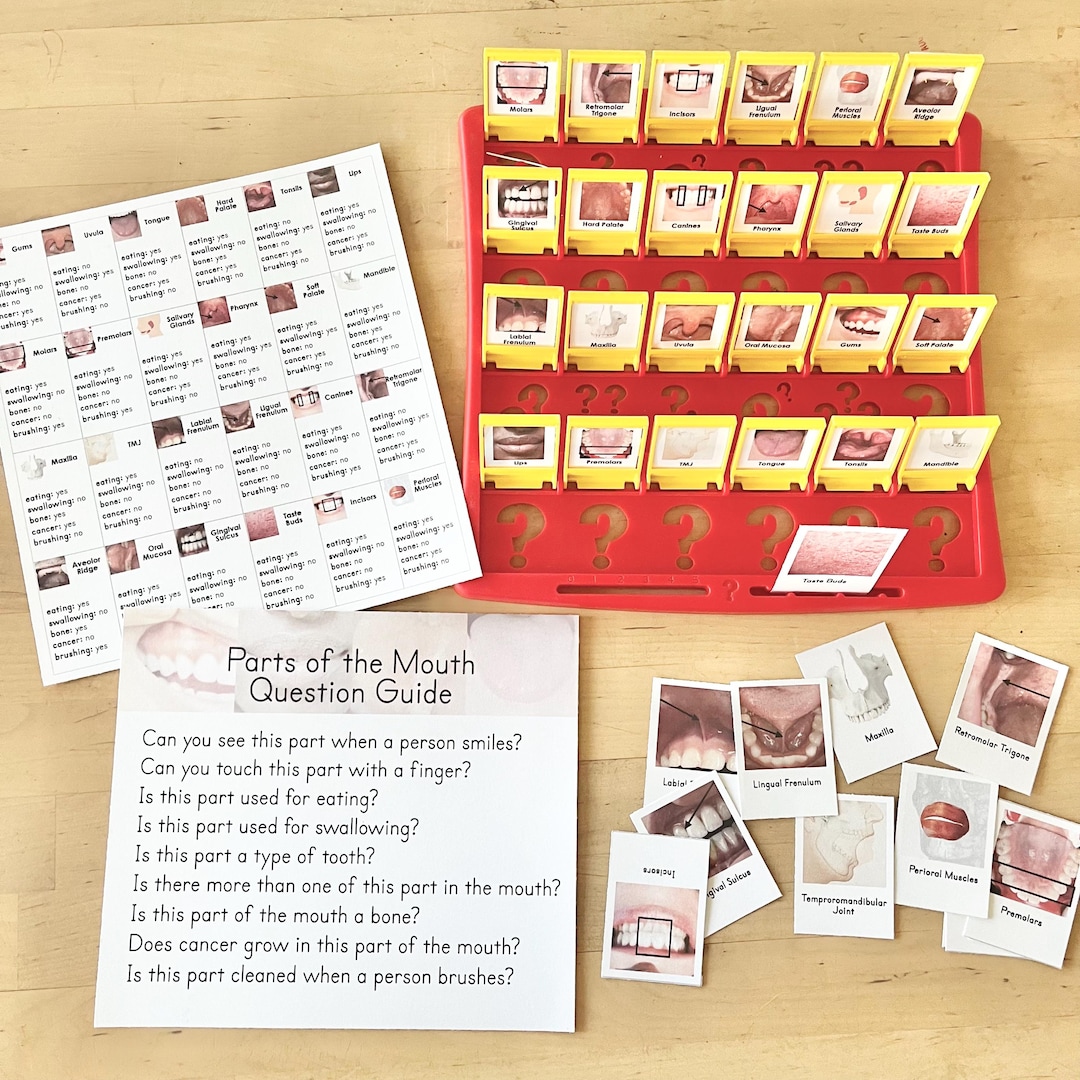 Anatomy of the Mouth Guess Game Printable Insert Cards - Etsy