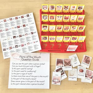 Anatomy of the Mouth Guess Game Printable Insert Cards - Etsy