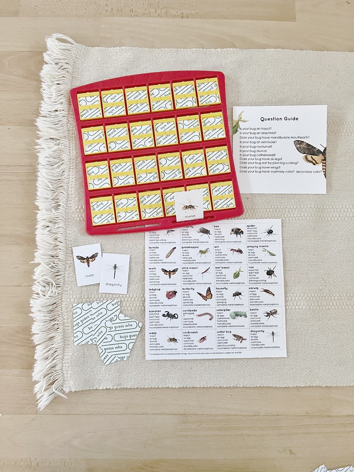 Bugs/ Insects Printable Guessing Game Insert Card Set - Etsy