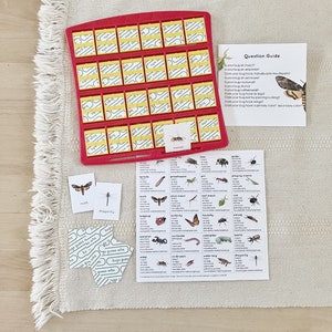 Bugs/ Insects Printable Guessing Game Insert Card Set - Etsy