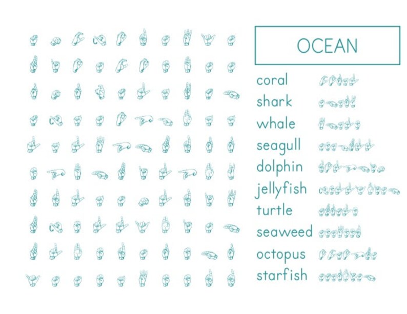 Printable ASL Fingerspell Word Search Set - Etsy