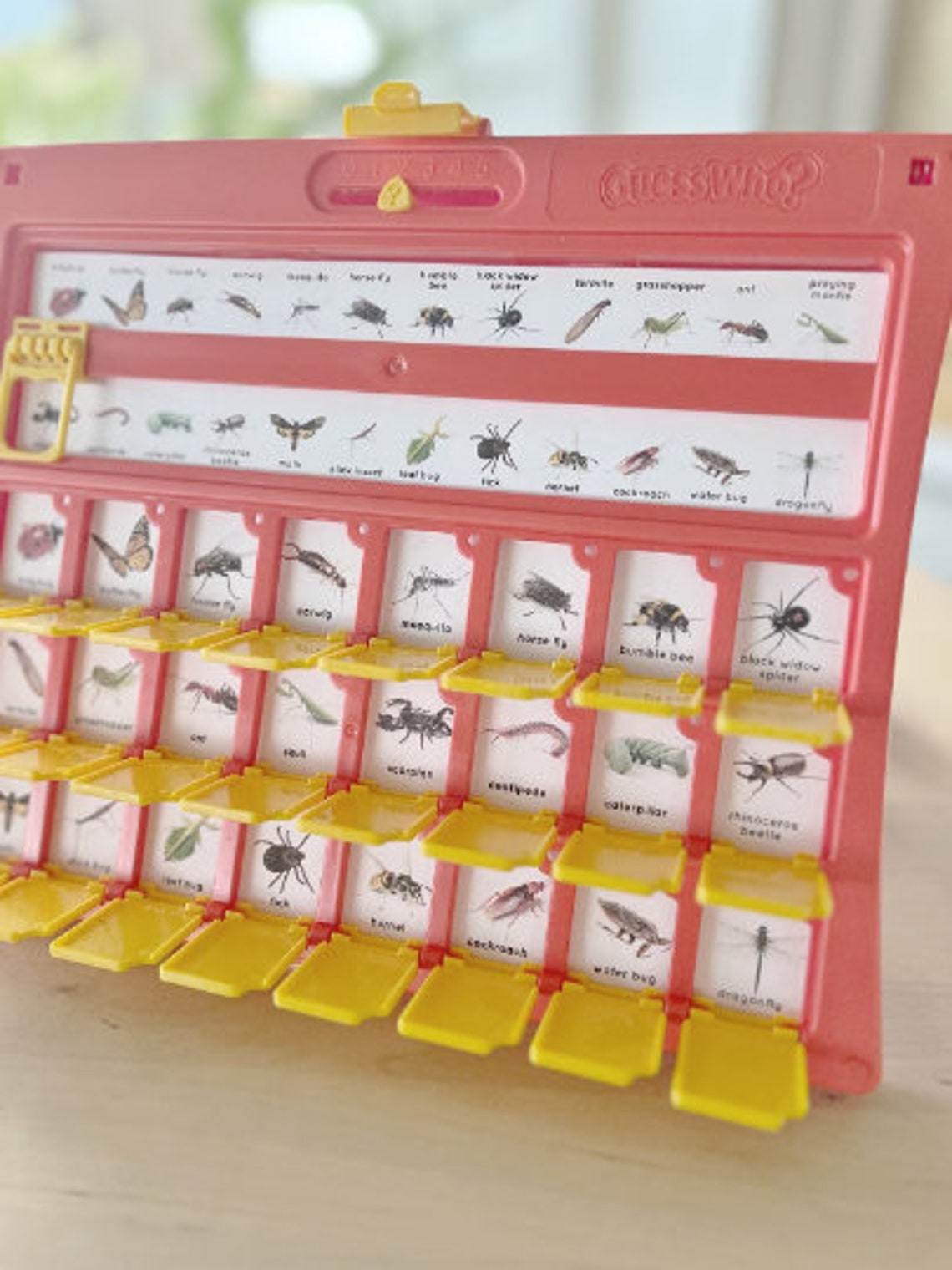 Bugs & Insects Guessing Game Printable Insert Card - Etsy