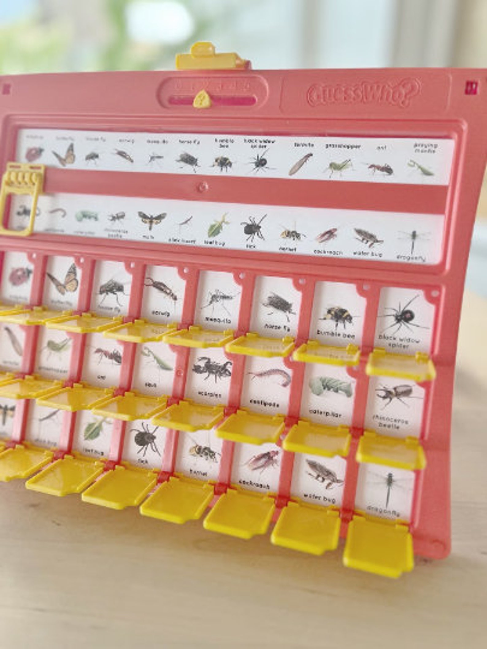 Bugs & Insects Guessing Game Printable Insert Card - Etsy