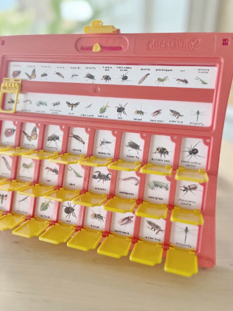 Bugs & Insects Guessing Game Printable Insert Card - Etsy