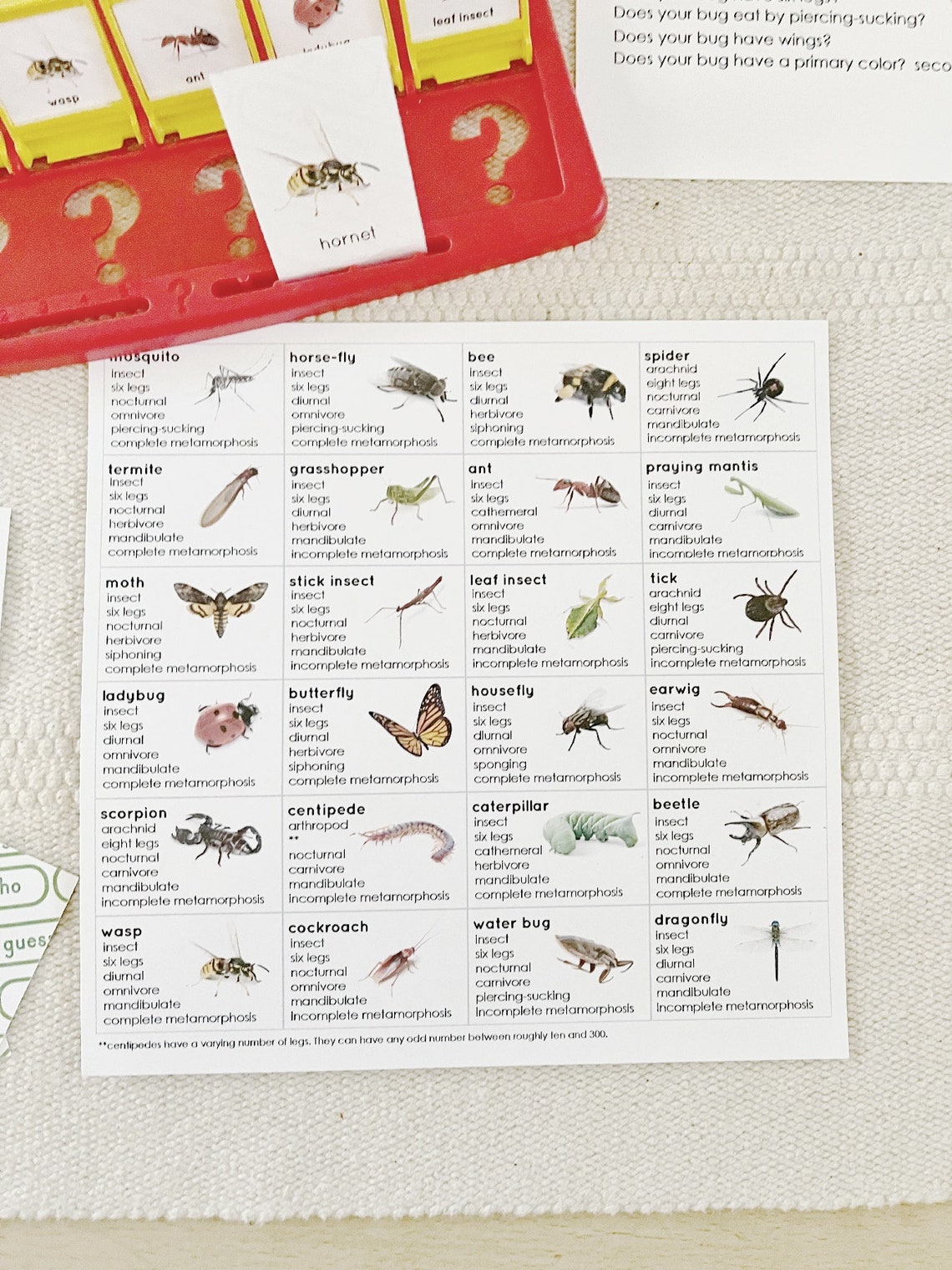 Bugs/ Insects Printable Guessing Game Insert Card Set - Etsy