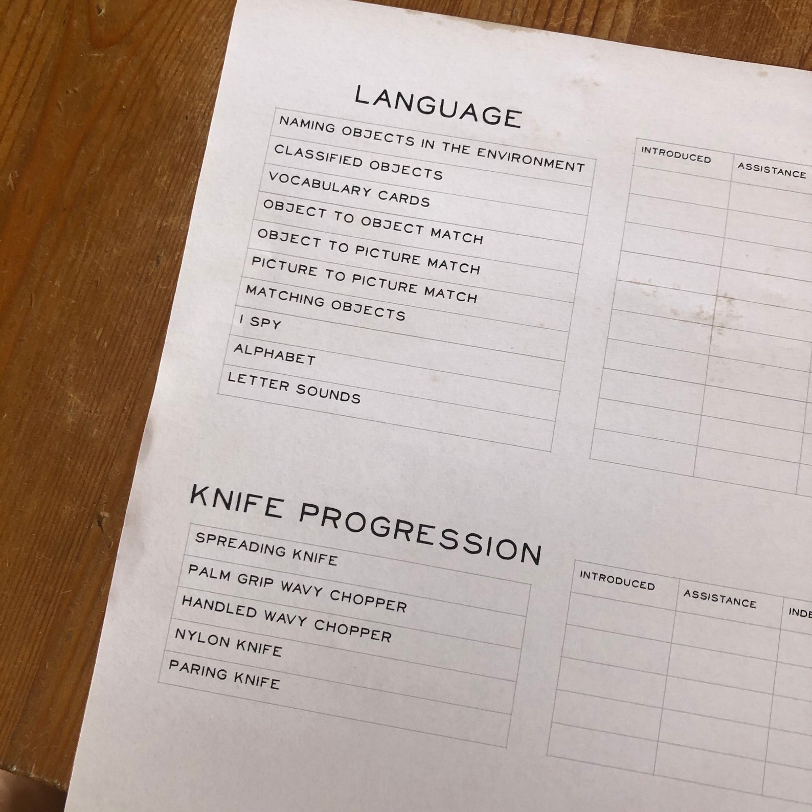 Montessori Birth to Three Years Observation Tracking Sheets | Etsy